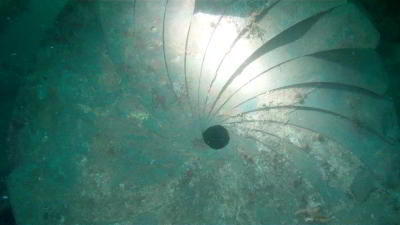Michael McFadyen's Scuba Diving Web Site