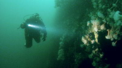 Michael McFadyen's Scuba Diving Web Site