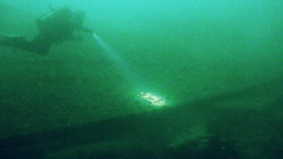 Michael McFadyen's Scuba Diving Web Site