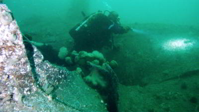 Michael McFadyen's Scuba Diving Web Site