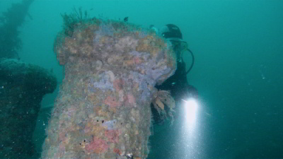 Michael McFadyen's Scuba Diving Web Site