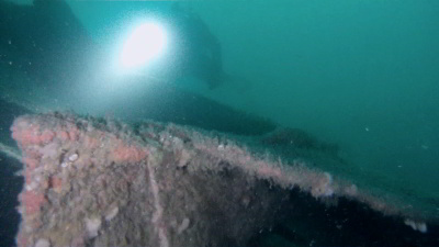 Michael McFadyen's Scuba Diving Web Site