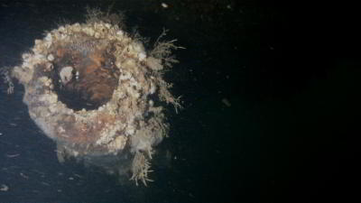 Michael McFadyen's Scuba Diving Web Site