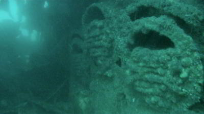 Michael McFadyen's Scuba Diving Web Site
