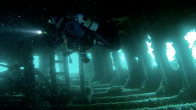 Michael McFadyen's Scuba Diving Web Site